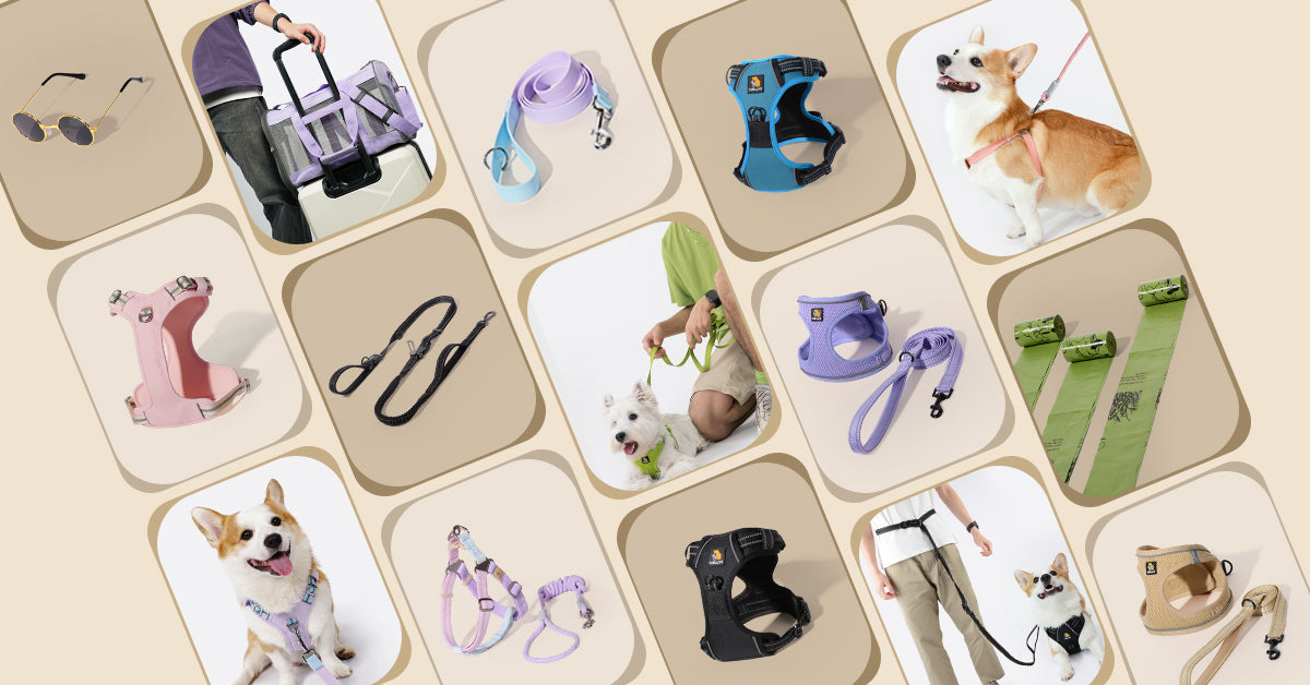 HOW TO MEASURE DOGS – Bella & Pal HK